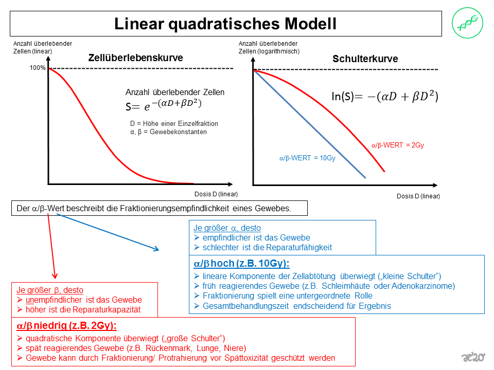 k-MED: Interaktives E-Book der Radioonkologie